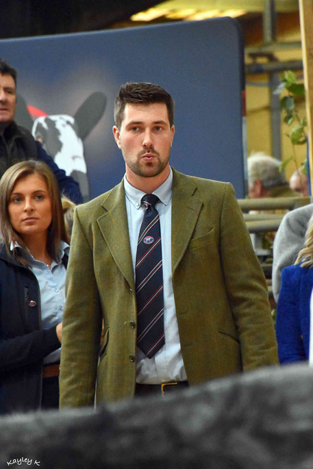 Border British Blue Club Open Calf Show 2023